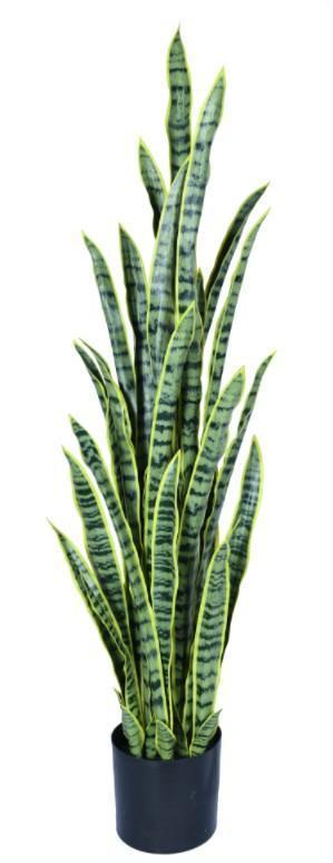 KP5008 PLANTA LENGUA DE SUEGRA O WACO 140 CM – Flores Plantas Follajes ...